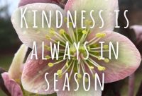 Self Kindness as an Expression of Spring Cleaning - Integrating Nutrition